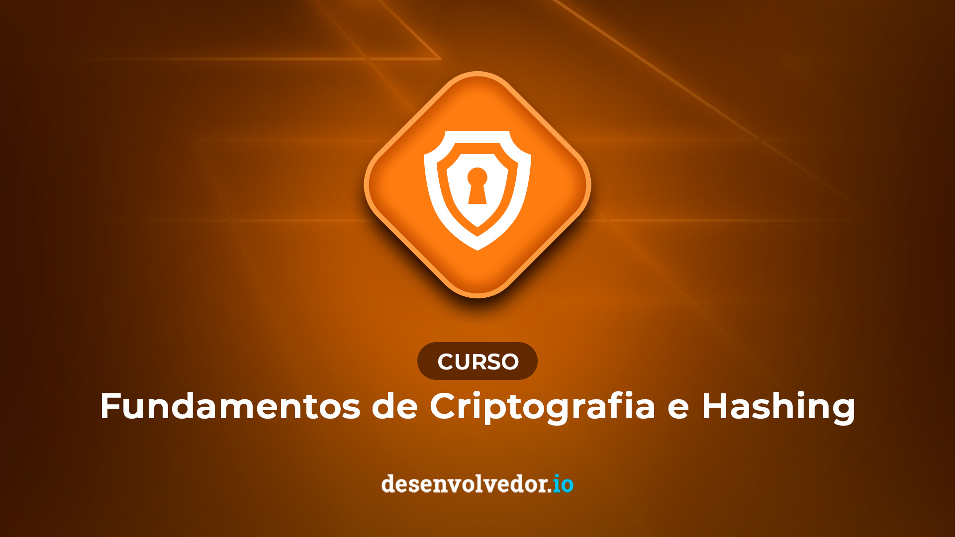 Curso Criptografia e Hashing | desenvolvedor.io